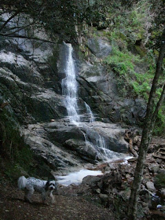 Walking the Cape: Contour Path: Constantia Nek to Newlands