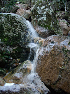 Walking the Cape: Contour Path: Constantia Nek to Newlands