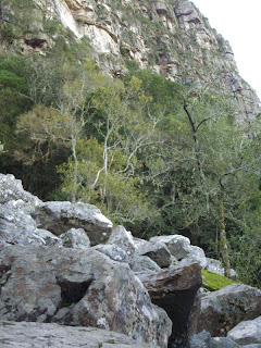 Walking the Cape: Contour Path: Constantia Nek to Newlands