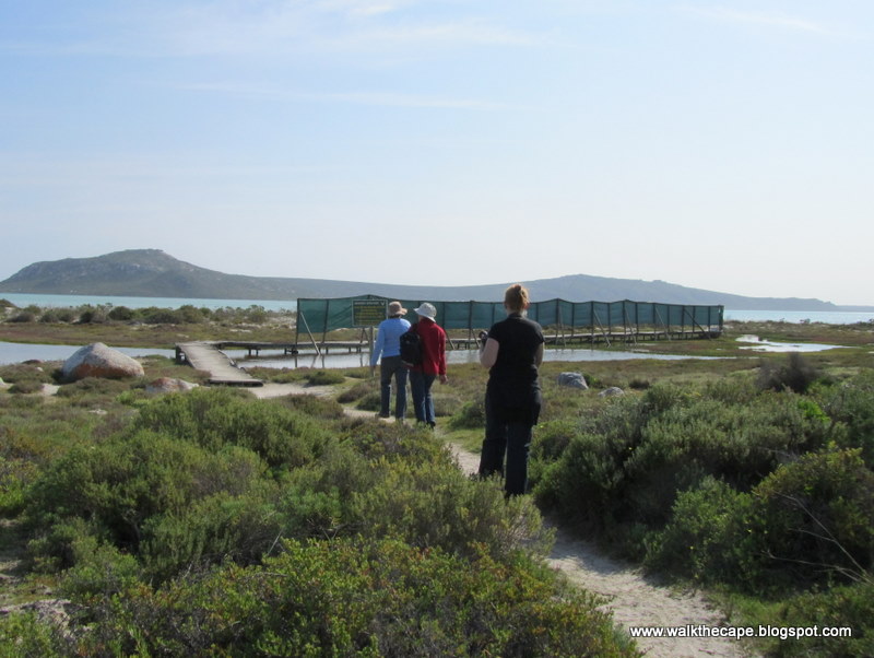 Walking the Cape: West Coast National Park & Postberg