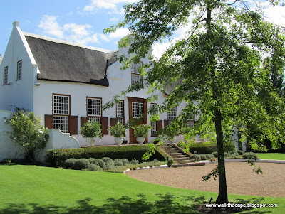 Walking the Cape: Stellenberg Open Garden