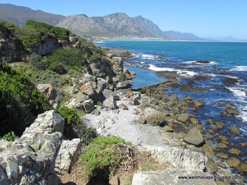 Walking the Cape: Hermanus: Cliff Path - West