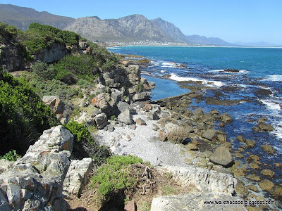 Walking the Cape: Hermanus: Cliff Path - West