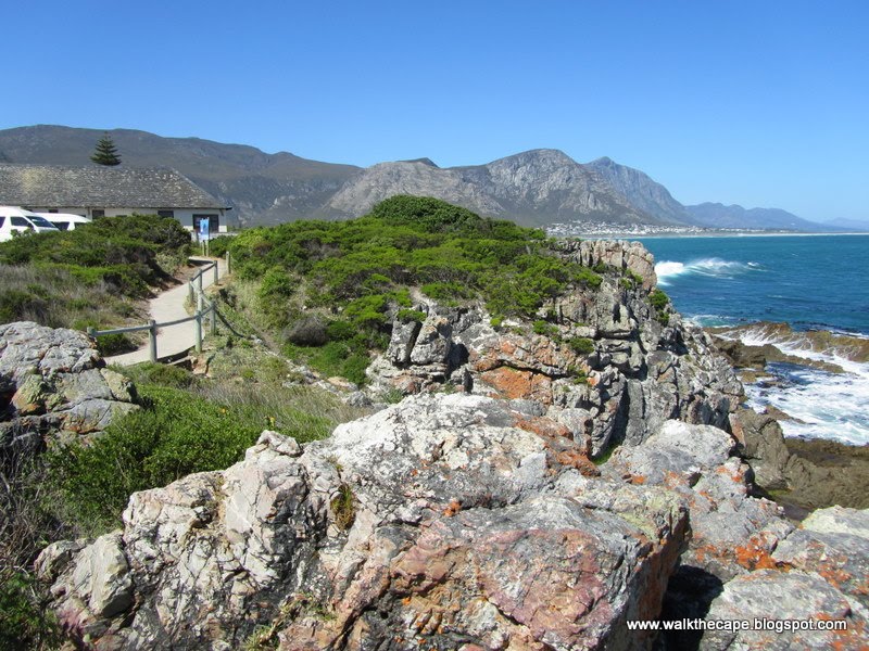 Walking the Cape: Hermanus: Cliff Path - West