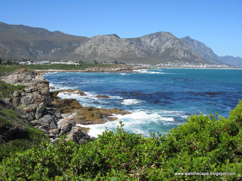 Walking the Cape: Hermanus: Cliff Path - West