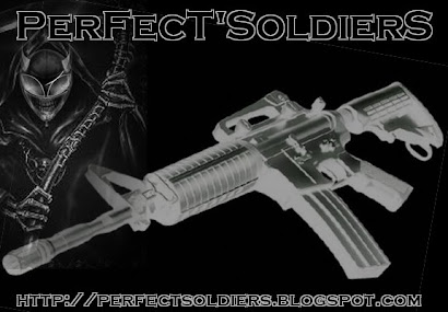 [PerFecT'SoldierS]