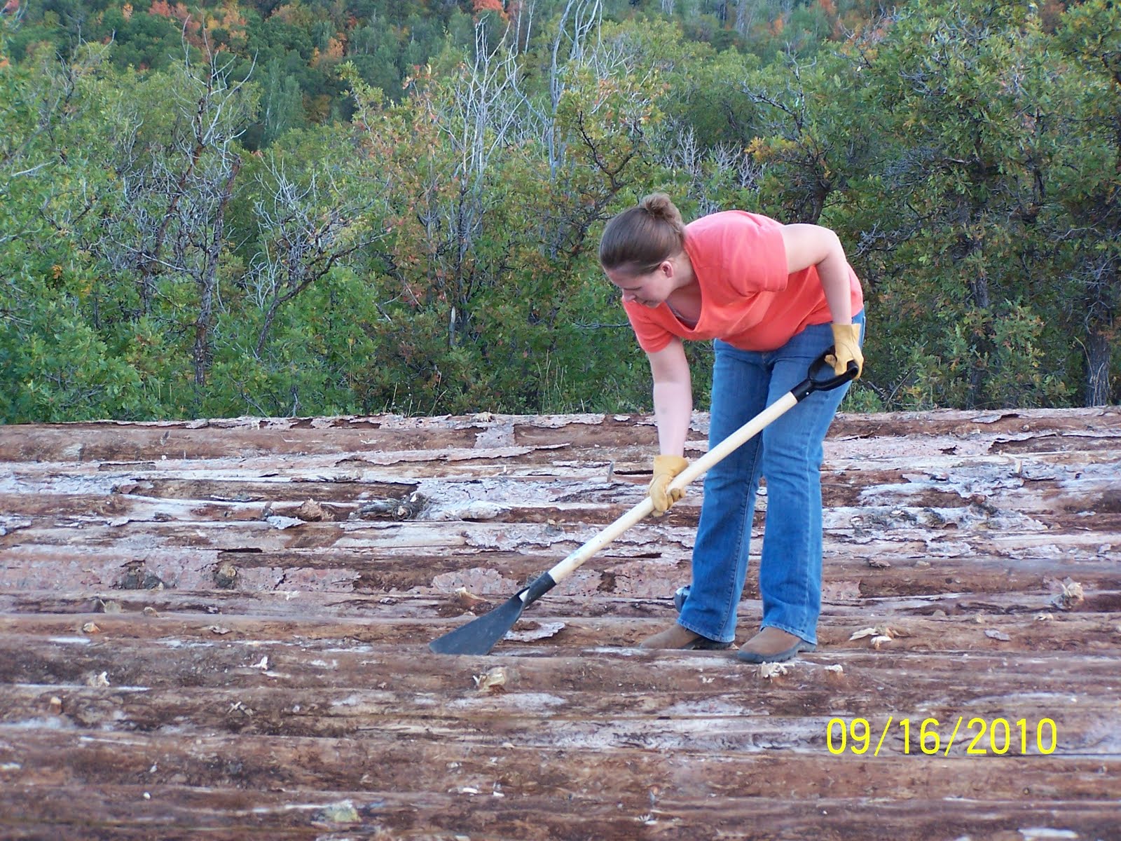 Mumford Log Home: Am I Allergic to my House? (aka Cleaning logs)