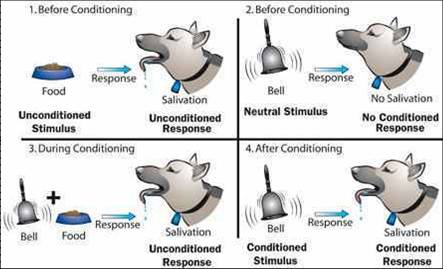 Construindo Aprendizes: Teorias de Associação