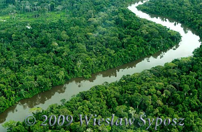 lost in Mato Grosso: bird-eye view of the Amazon Rain forest