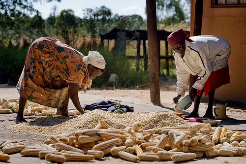 It Takes A Village...: Zimbabwe's Elderly Population - A BBC Article