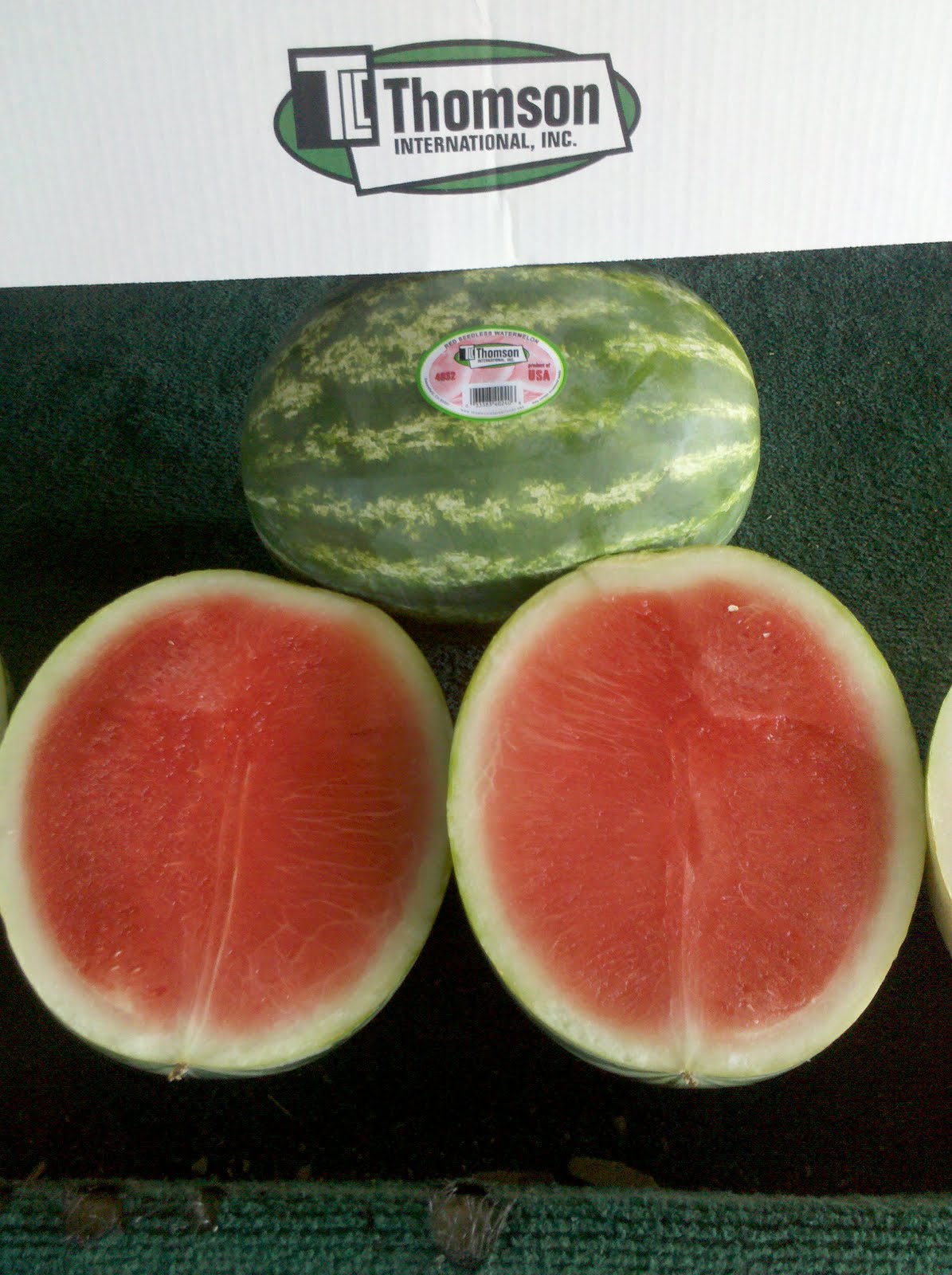 Thomson International, Inc: 2010