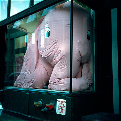 theFword: The Big Pink Elephant