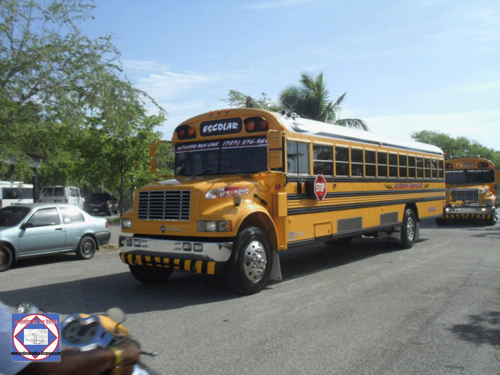 ANDANDO EN BUS: ¡¡COMO SE CUIDAN LOS BUSES EN PUERTO RICO!! NUEVO ESPECIAL