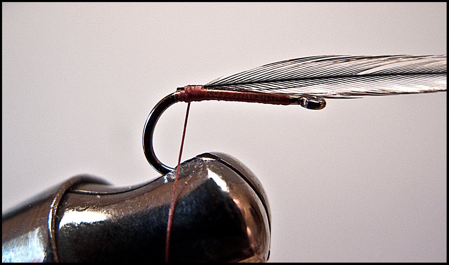 Dry Fly 'Expert': Double Badger