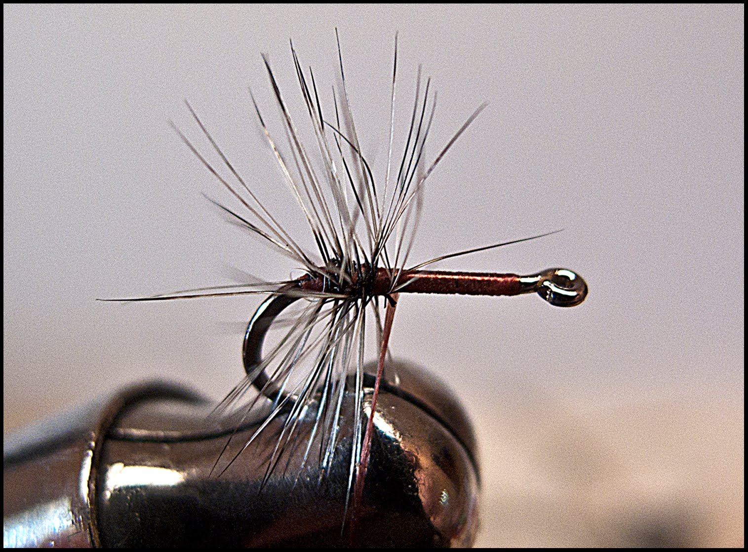 Dry Fly 'Expert': Double Badger