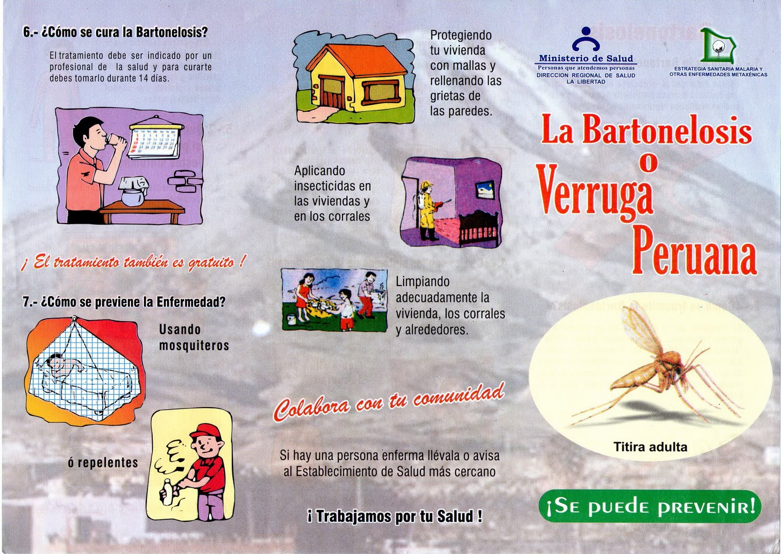 Medical Technology: La Bartonelosis O Verruga Peruana