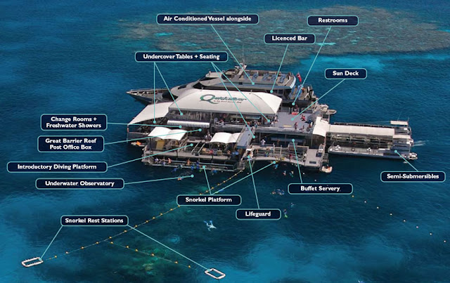 Tropical Far North Queensland: 29. Great Barrier Reef - Fish Feeding ...