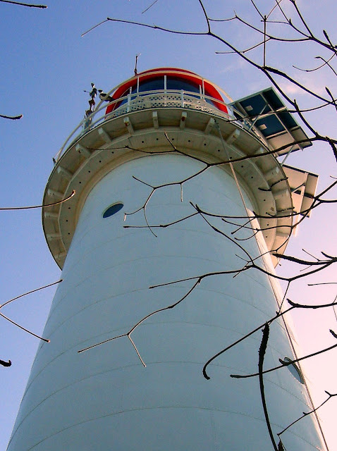 Tropical Far North Queensland: 36. Low Isles - Island Walk
