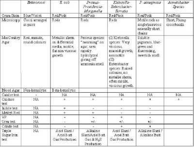 Medical Microbiology: Patient 3 - Maisy Wong