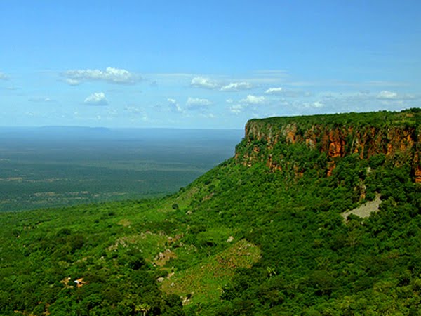 PiauíTurístico: VENHA CONHECER O PIAUÍ
