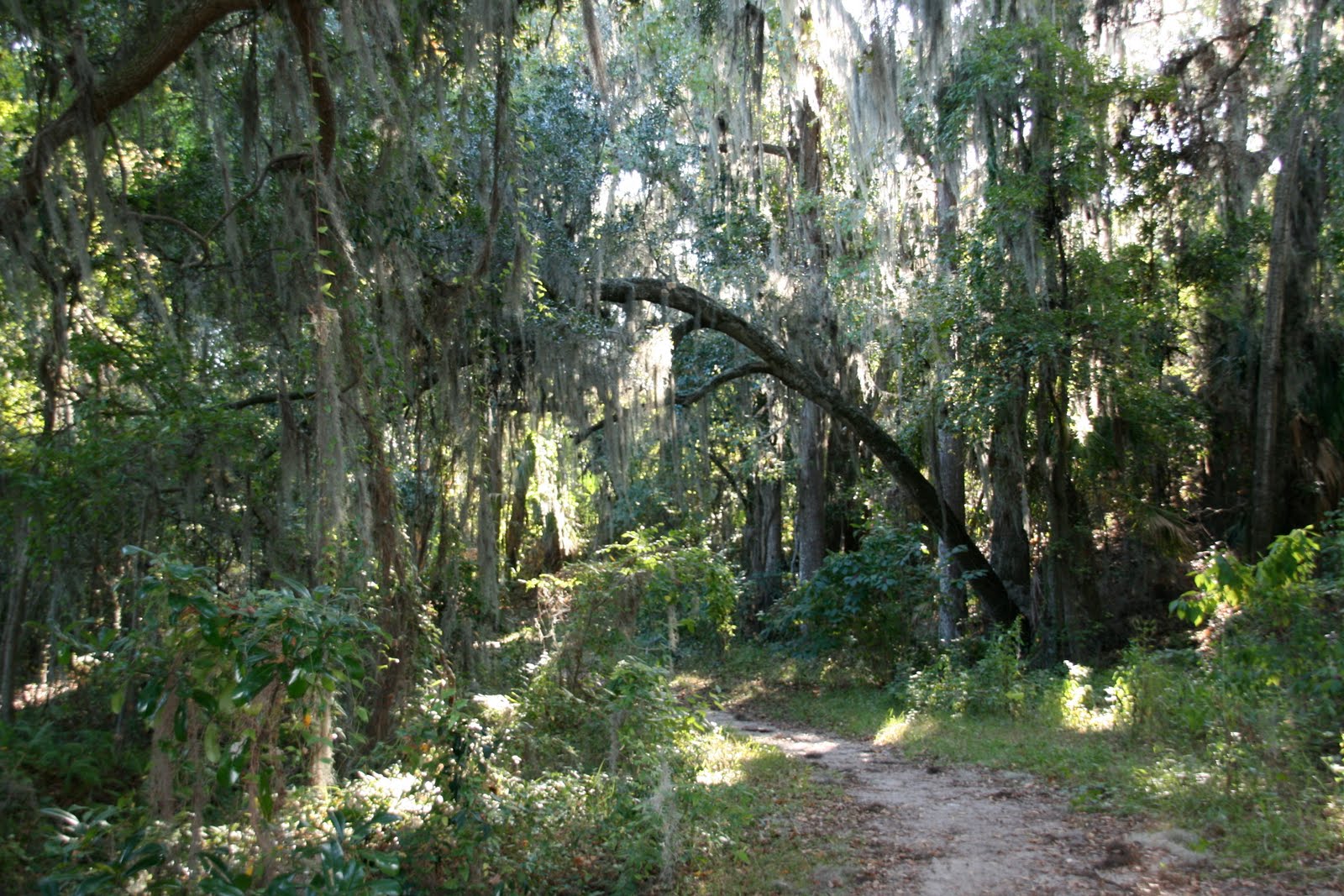 On the Path: Rural Florida: Natural Wonders