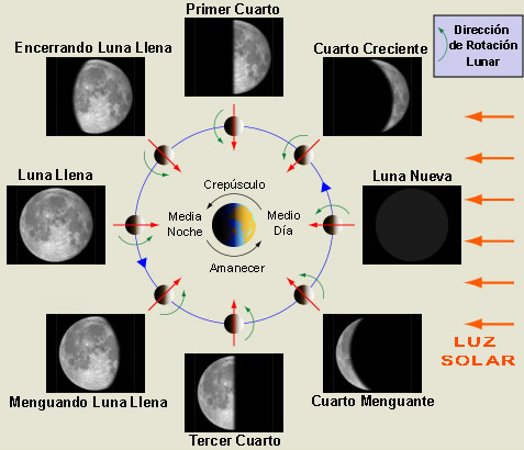La Luna: Revoluciones de la Luna