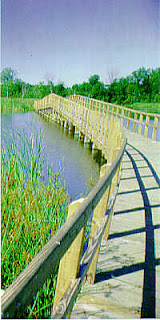 Mike's Lenawee and Monroe Blog: Area Hikes: Crosswinds Marsh