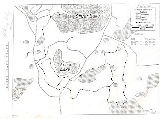 Mike's Lenawee and Monroe Blog: Losee Lake Hiking Trail: Old Map