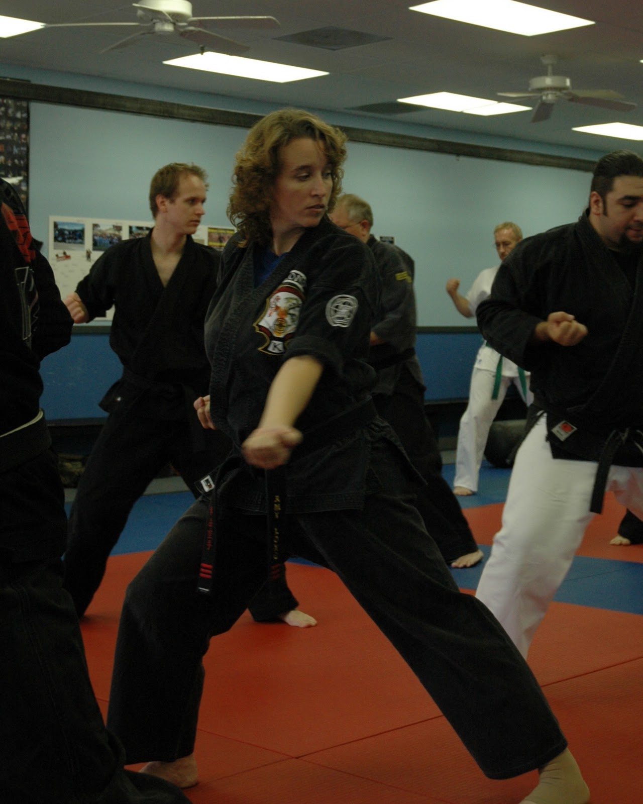 American Kenpo Karate: November 2010