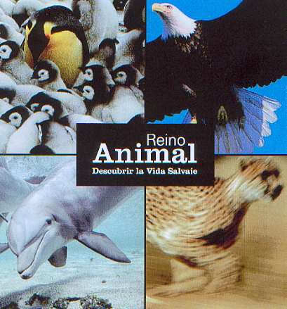 Biologia II: Reino Animalia