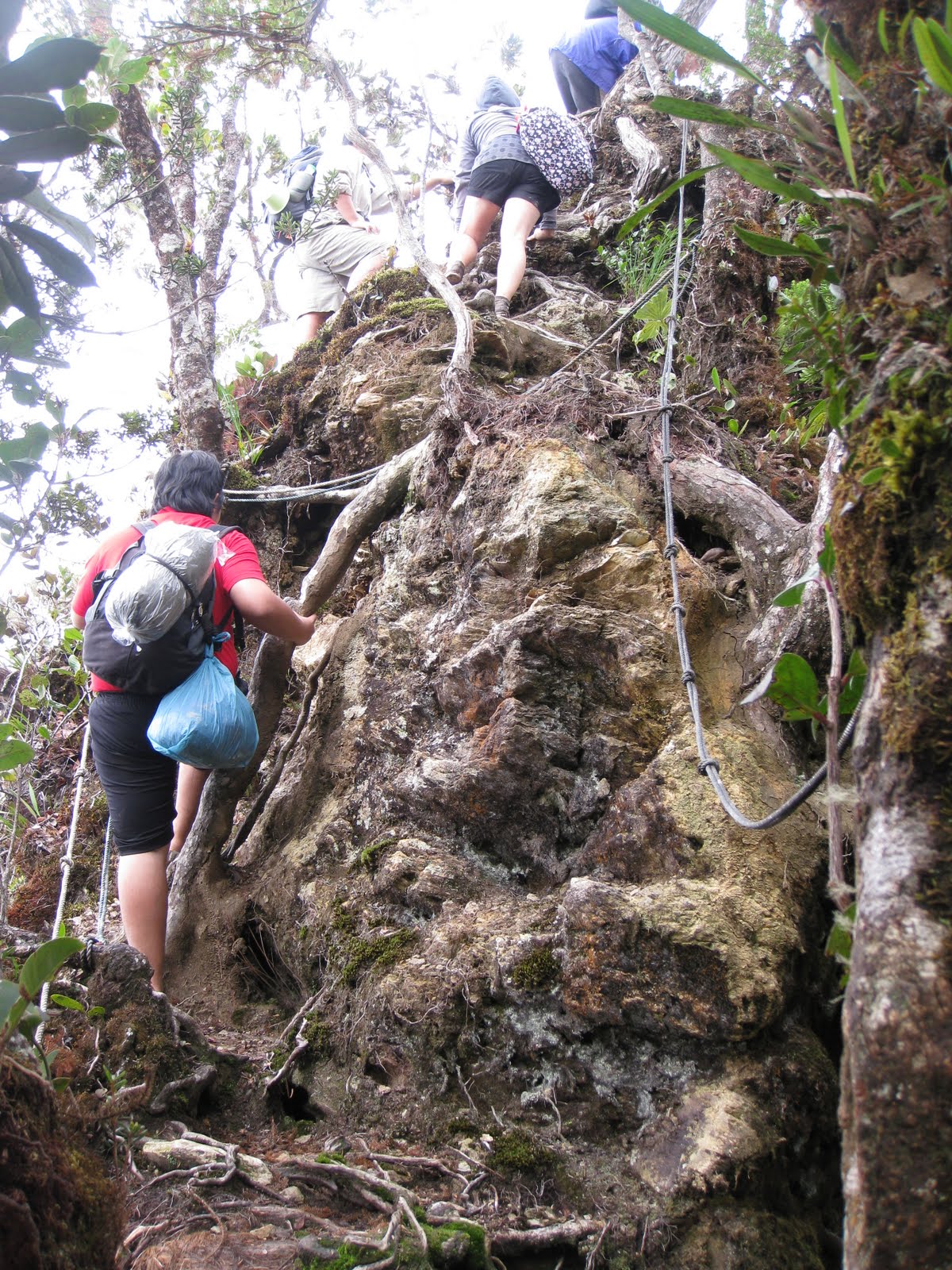 Travel around Borneo, Sabah, Malaysia: Excitement of Mount Trusmadi