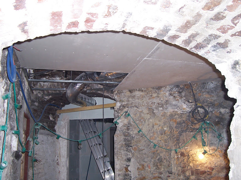 SISTEME DE GIPS-CARTON SI FINISAJE: TAVANE DIN GIPS-CARTON DE DIFERITE ...