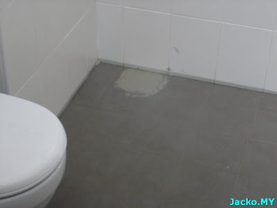 Mega Project #4 - Ponding Test