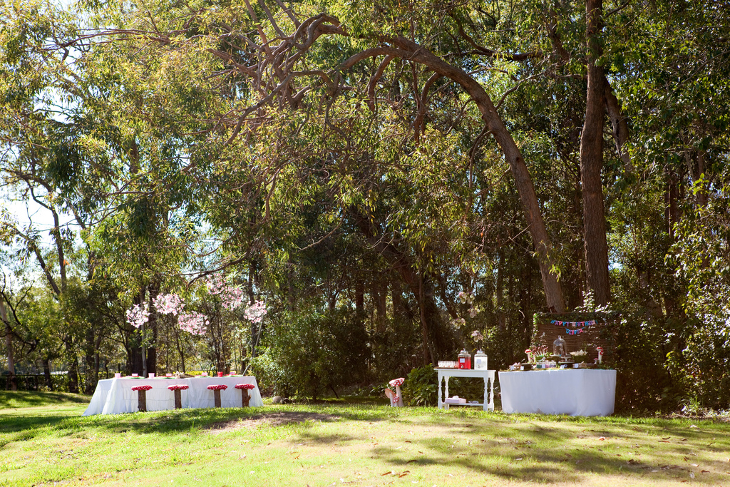 Kate Landers Events, LLC: Sharnel Dollar Designs: Meet Sharnel