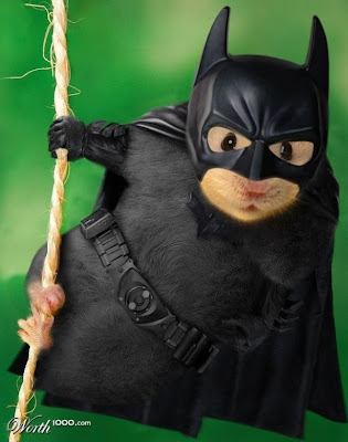 Flaming Zombie Monkeys: Batman Squirrel