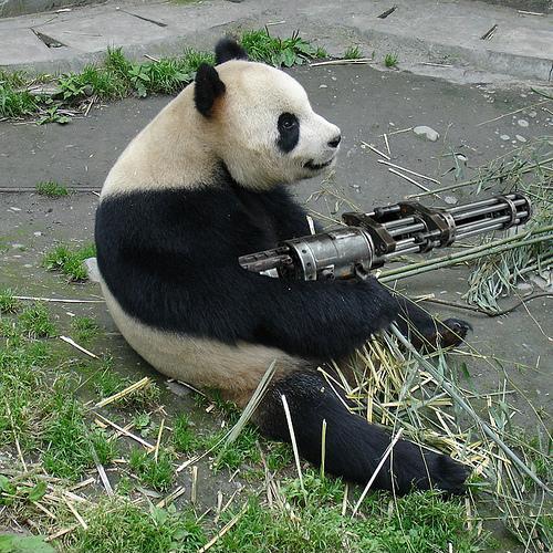 Flaming Zombie Monkeys: Badass Panda With A Minigun