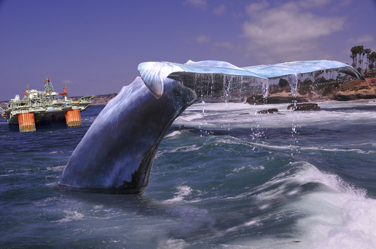 August 2010 | The Dolphin's Wink