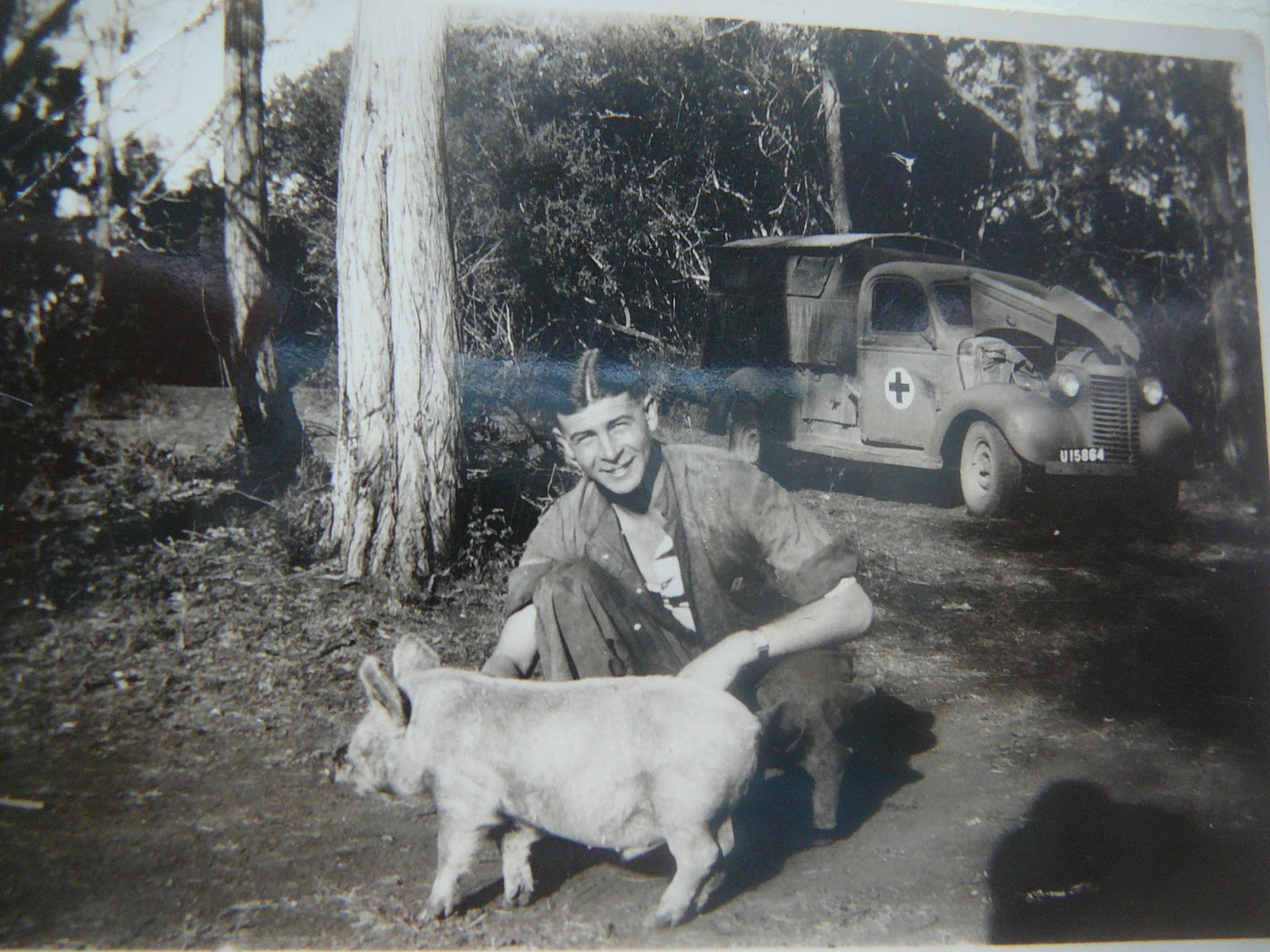 Alles wat buite die leë nes lê.: Hendrik Stander Heunis, my pa