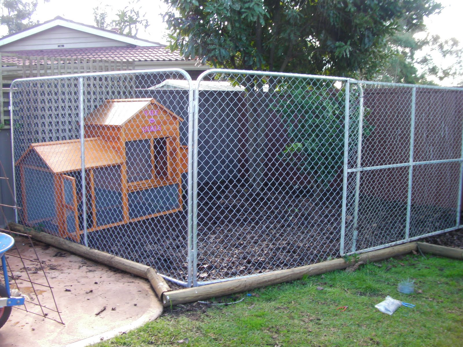 Lassy's lovelies: Chook run and bunny fun