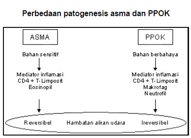 PENYAKIT PARU OBSTRUKTIF KRONIK (PPOK)