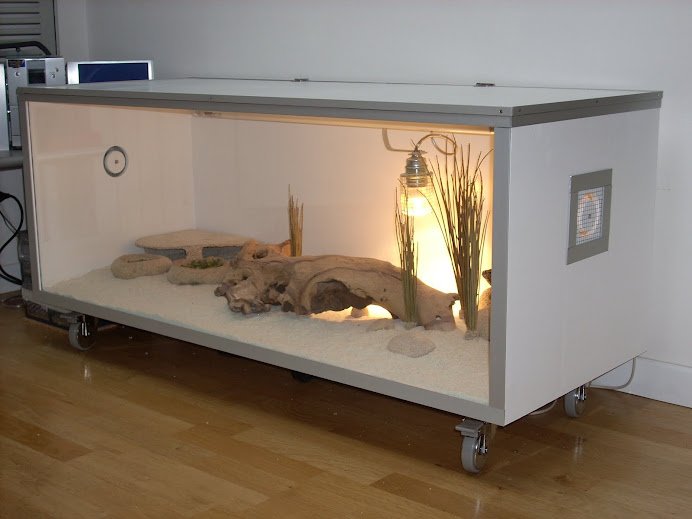 terrari per rettili e insetti: terrari toscana su misura