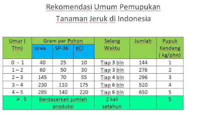 ILMU 212: Pemeliharaan Tanaman Jeruk Bebas CVPD
