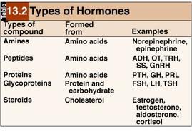 Anatomy and Physiology e-Portfolio: Endocrine Sytem and Homeostasis ...