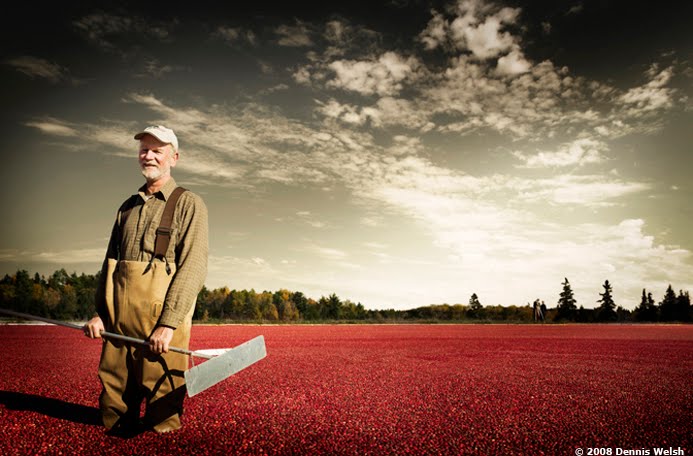 Ruth's Photography Blog: The Human Condition #1: Environmental portraits