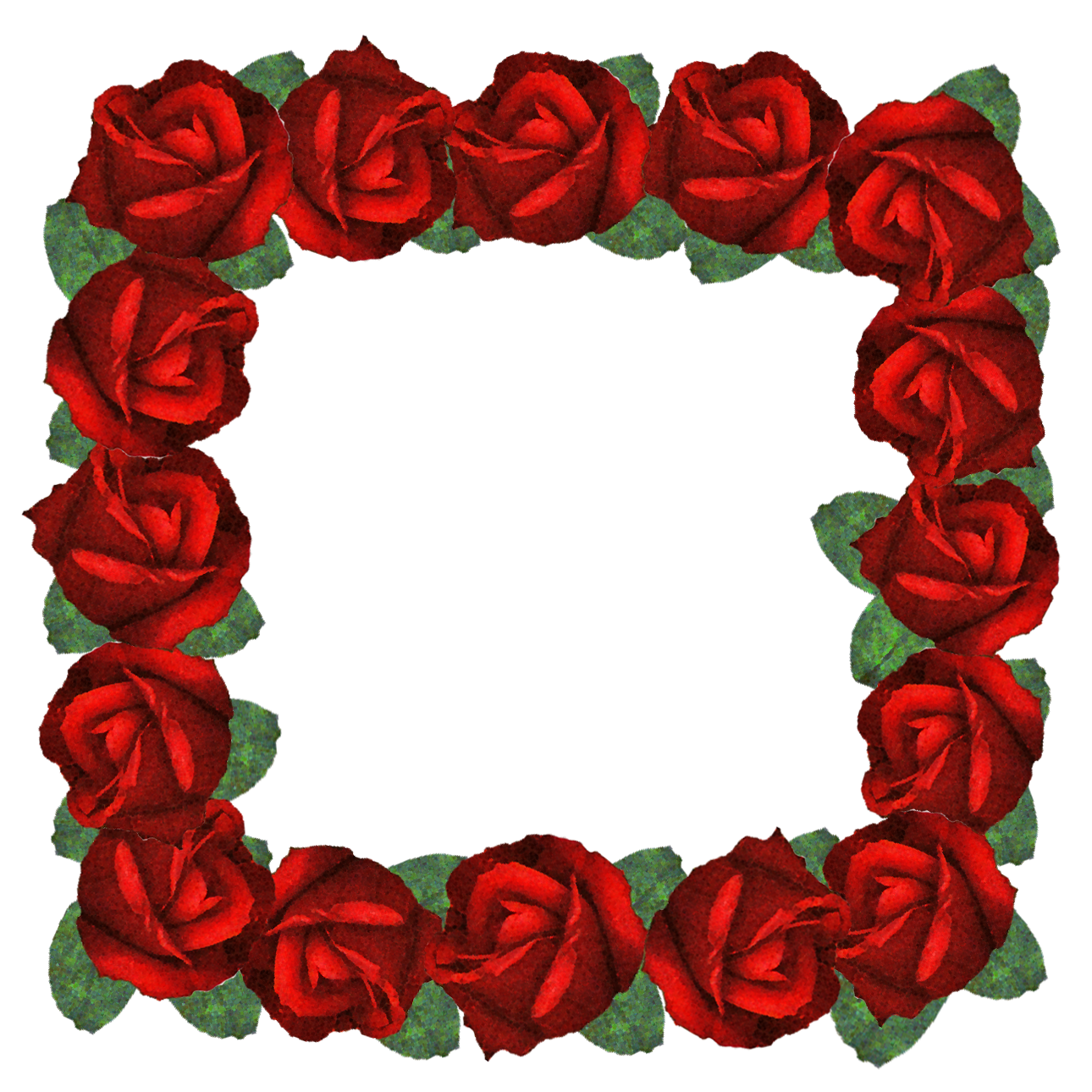 Forget-Me-Never: flowers for you