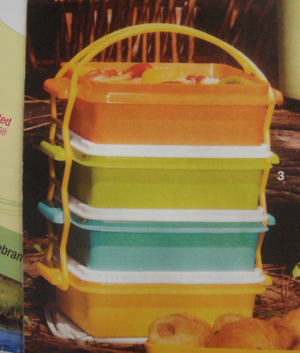Small Goody Box with Cariolier - Tupperware...The perfect choice!