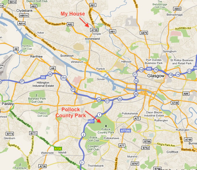 Paola's Adventures in Vet School!: Highland Cattle Festival