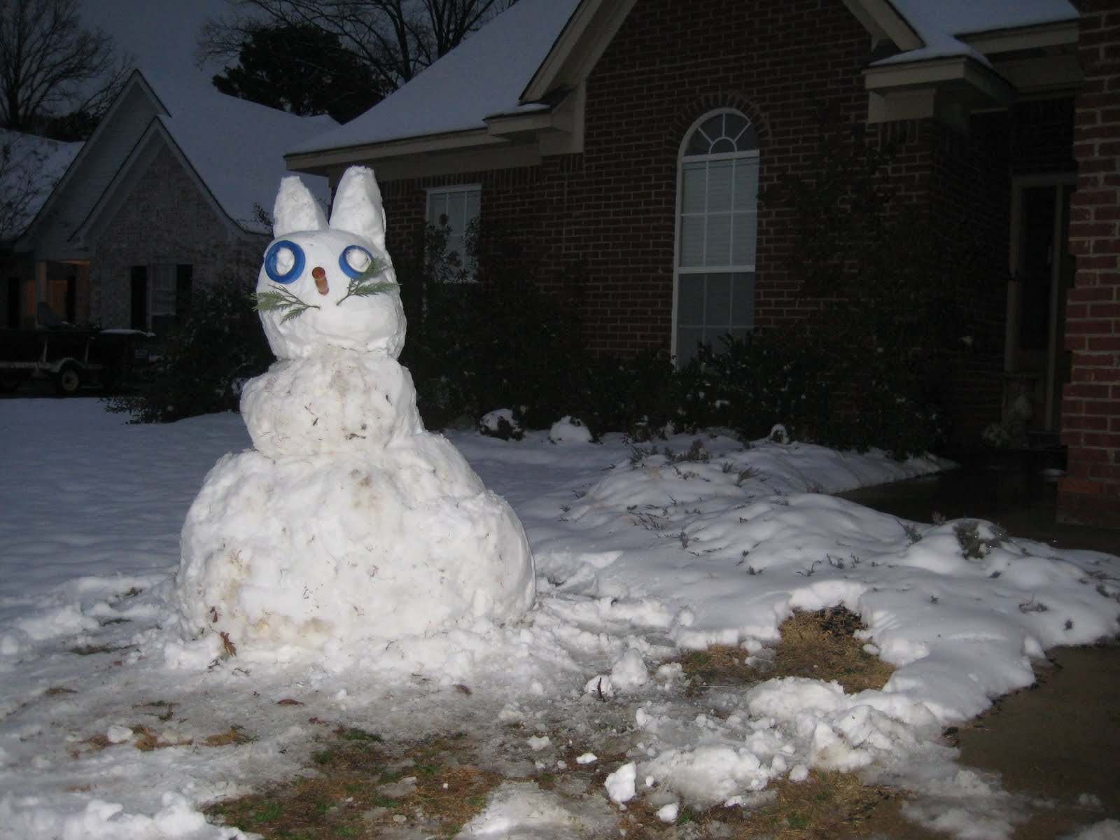 The Willoughby Chronicles: Snow Bunny!