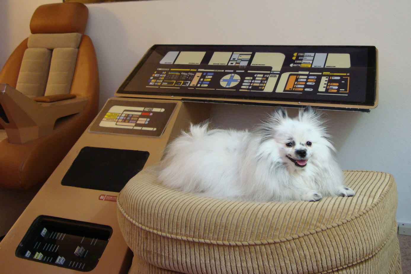 Star Trek Prop, Costume & Auction Authority: Star Trek: The Experience ...