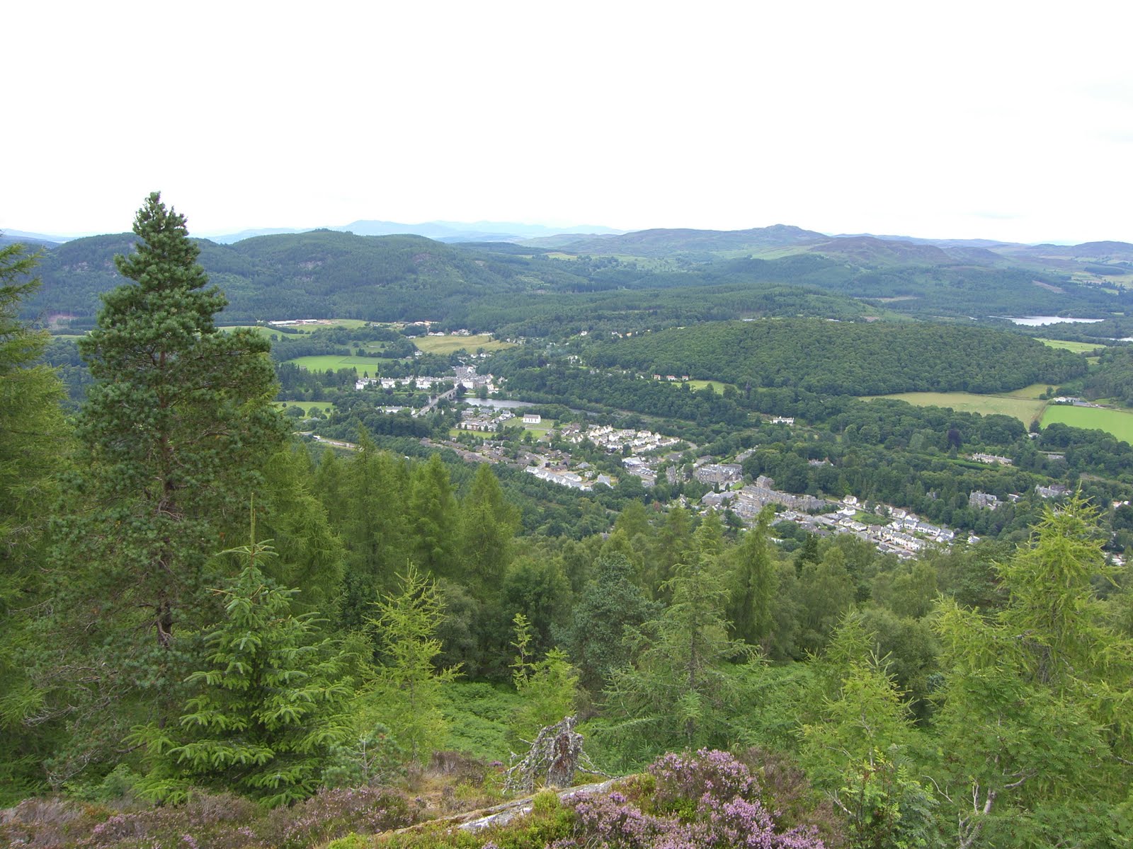 Cottages Scotland: Walk Birnam Hill Perthshire Scotland